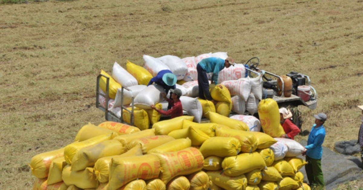 Vietnam exports 7 million tons of rice in 9M - VnEconomy