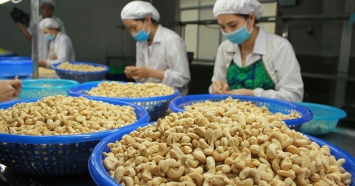 Vietnam's cashews enter the “$5 bln club” with record turnover - VnEconomy