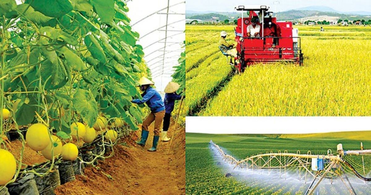 Driving breakthroughs in agriculture and rural development - VnEconomy