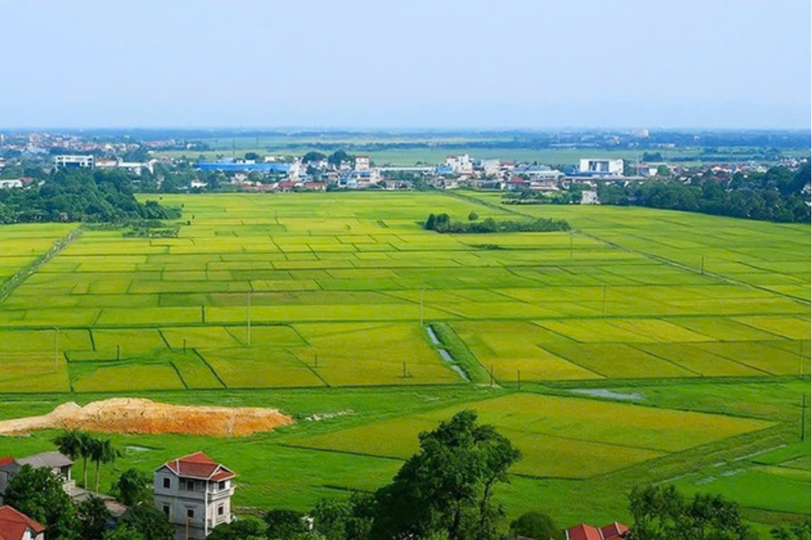 Điều tra đất đai 2026-2030: Cơ sở cho chính sách nông nghiệp - VnEconomy