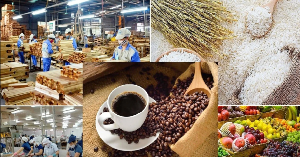 Agro-forestry-fishery imports top $22 bln in first five months, up 12.6 ...